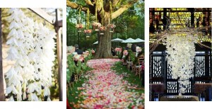 The Cascade Effect - Trending Up | Merrily Wed Lake Tahoe Wedding ...